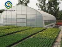 China Agricultural Tomato 12m Single Tunnel Greenhouse for sale