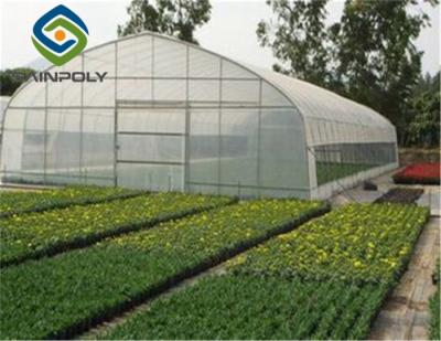China Agricultural Tomato 12m Single Tunnel Greenhouse for sale