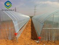 China Agricultural Tomato 12m Single Tunnel Greenhouse for sale