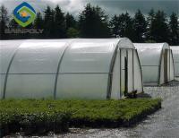 China Agricultural Tomato 12m Single Tunnel Greenhouse for sale
