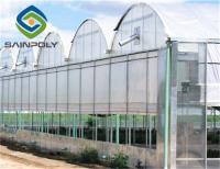 China Commercial Plastic Film 4m Multi Span Greenhouse For Vegetables for sale