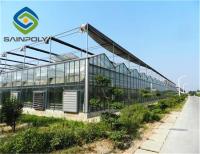 China 150N/MM Multi Span Glass  Greenhouse  of  cucumbers vegetable for sale