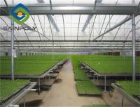 China UV Radiation Protection Layer 120km/H Multi Span Greenhouses for sale