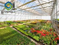 China Hot Galvanized Steel 8m Polyethylene Film Greenhouse for sale