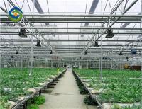 China High transmittance 10.8m Polycarbonate Greenhouse  For  Agriculture Farm for sale