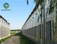 China High transmittance 10.8m Polycarbonate Greenhouse  For  Agriculture Farm for sale
