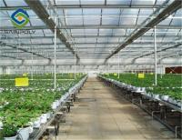 China Hot Dipped Galvanized Steel 7.5m PC Sheet Greenhouse for sale