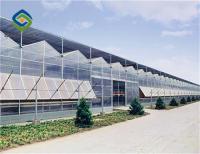 China Commerical Arch Roof 8m 12m PC Sheet Greenhouse for sale