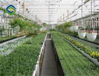 China Hollow 120km/H PC Sheet Greenhouse Hot Galvanized Steel Frame for sale