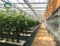 China 3.0m 6.0m Glass Multi Span Greenhouse For Agricultural for sale