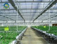 China Polycarbonate PC Sheet Greenhouse With Irrigation Equipment for sale