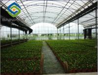 China 0.50KN/M2 200 Micron Polyethylene Film Greenhouse for sale