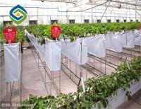 China Clear 10.8m Commercial Glass Greenhouse For Cucumbers for sale