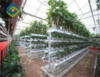 China Clear 10.8m Commercial Glass Greenhouse For Cucumbers for sale