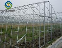 China 1.5m Plastic Shed Single Tunnel Greenhouse For Vegetables for sale