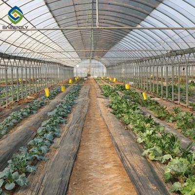 China Single Span Plastic Film Agricultural Greenhouses For Madical Plants for sale