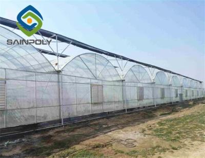 China Galvanized Steel 0.15mm Polyethylene Film Greenhouse for sale