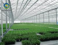 China anti aging 8mm agricultural clear polycarbonate greenhouse for sale
