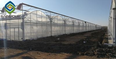 China 10m Span PE Plastic Shed Film Greenhouses For Agriculture for sale