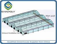 China 10m Span PE Plastic Shed Film Greenhouses For Agriculture for sale
