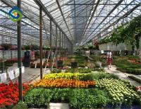China Arch Roof 10.8m PC Sheet Greenhouse Flower Growing for sale