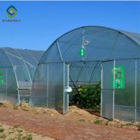 China Galvanized Steel Single Span PE Film Greenhouses For Agriculture for sale