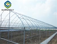 China Galvanized Steel Single Span PE Film Greenhouses For Agriculture for sale