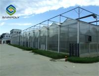 China 8.0m Pc Sheet Multi Span Polycarbonate Greenhouse For Farm for sale