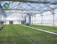 China 8.0m Pc Sheet Multi Span Polycarbonate Greenhouse For Farm for sale