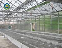 China 8.0m Pc Sheet Multi Span Polycarbonate Greenhouse For Farm for sale