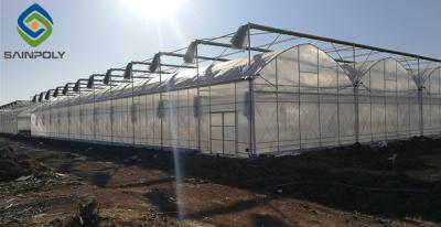 China Vegetable 7ft Pe Film Greenhouse With Irrigation Eqiupment for sale