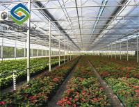 China Vegetable 7ft Pe Film Greenhouse With Irrigation Eqiupment for sale