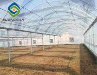 China Vegetable 7ft Pe Film Greenhouse With Irrigation Eqiupment for sale