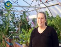 China Fruits 100m Single Span Plastic Tunnel Greenhouse for sale