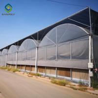 China 10ft Plastic Film Greenhouse With Hydroponic Growing Systems for sale