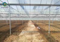 China 10ft Plastic Film Greenhouse With Hydroponic Growing Systems for sale