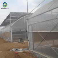 China 10ft Plastic Film Greenhouse With Hydroponic Growing Systems for sale