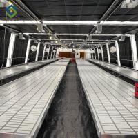 China 30m Light Dep Greenhouse Hydroponic Growing System for sale