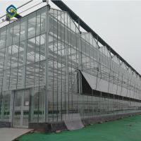 China Transparent Hydroponic 0.3KN/M2 Multi Span Greenhouse for sale