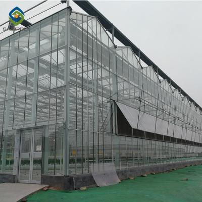 China Transparent Hydroponic 0.3KN/M2 Multi Span Greenhouse for sale