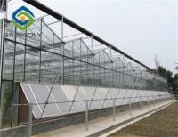 China Transparent Hydroponic 0.3KN/M2 Multi Span Greenhouse for sale