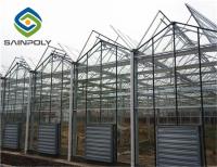 China Transparent Hydroponic 0.3KN/M2 Multi Span Greenhouse for sale