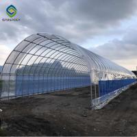 China 150 Micro PE Film 4m Single Tunnel Greenhouse For Flowers for sale