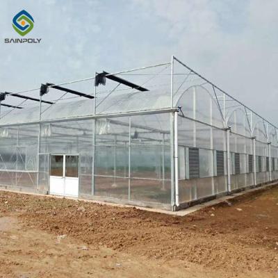 China 33ft Multi Span PE Plastic Shed Film Greenhouses for sale