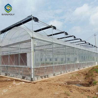 China Custom 0.35KN/M2 33ft Tomato Polyethylene Film Greenhouse for sale