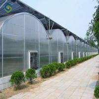China Multi span pc greenhouse Sainpoly agricultural greenhouse invernadero polycarbonate other greenhouses for sale