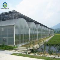 China Multi span pc greenhouse Sainpoly agricultural greenhouse invernadero polycarbonate other greenhouses for sale
