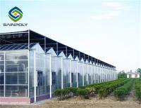 China Multi span pc greenhouse Sainpoly agricultural greenhouse invernadero polycarbonate other greenhouses for sale