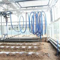 China Vegetable Fruits 0.4KN/M2 9.6m Multi Span Greenhouse for sale