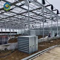 China Vegetable Fruits 0.4KN/M2 9.6m Multi Span Greenhouse for sale